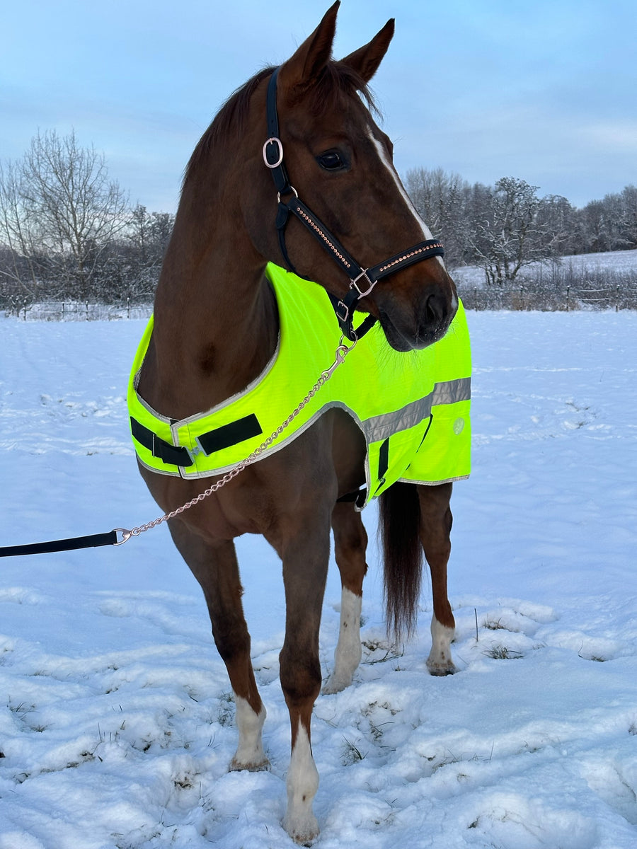 Varför är reflexer så viktiga för dig och din häst? – Von Goltz